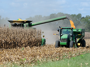 Glenn Heard Farms Products & Services